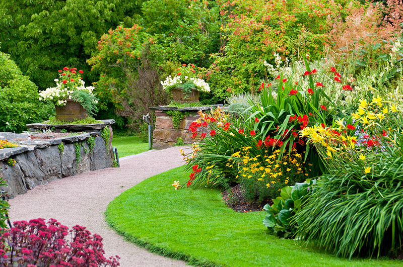 Best Low-Maintenance Landscaping Plants for Tri-Cities Homeowners ...